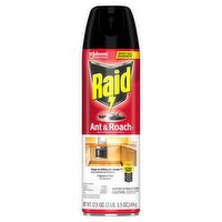 Raid Fragrance Free Ant & Roach Killer 26, 17.5 oz - ShopRite