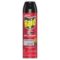 Raid Outdoor Fresh Scent Ant & Roach Killer 26 Spray, 17.5 oz - The ...
