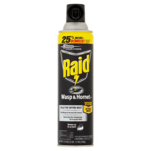 Raid Wasp & Hornet Killer 33 Spray, 17.5 oz - Price Rite