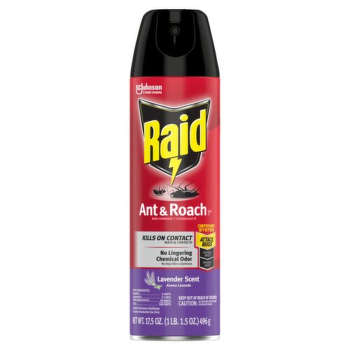 Raid Lavender Scent Ant & Roach Killer 26 Spray, 17.5 oz - ShopRite